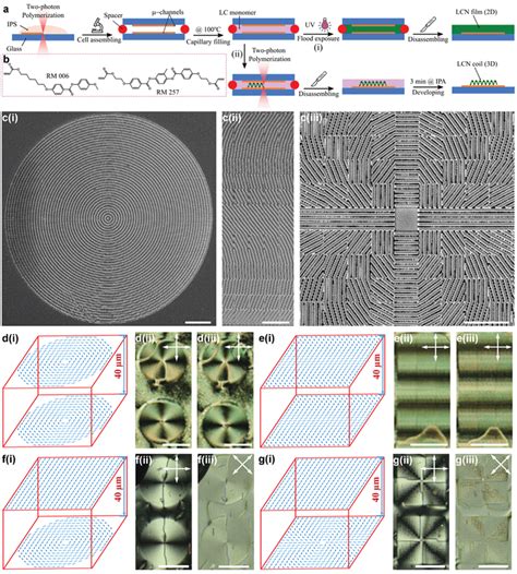 3d Director Field Alignment Of Liquid Crystal Lc Monomers A