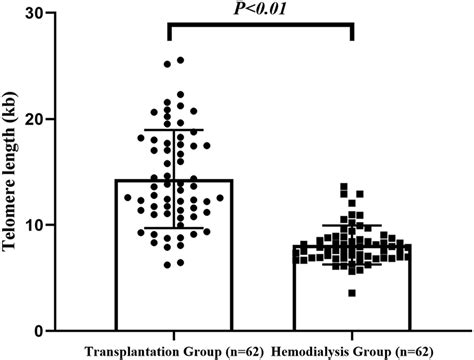 The Telomere Length Was Shorter In The Patients On Hemodialysis Who Did