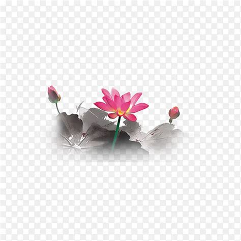 莲花PNG图片素材下载 图片编号7643575 PNG素材网