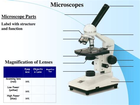 Microscope High Power Objective Lens Function At Nicole Hall Blog