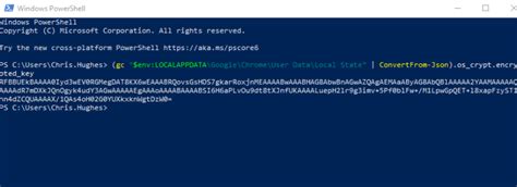 Web Browser Stored Credentials Penetration Testing Lab