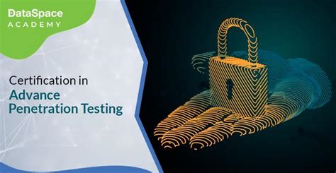 Web Application Penetration Testing Types Steps And Benefits Dataspace Academy