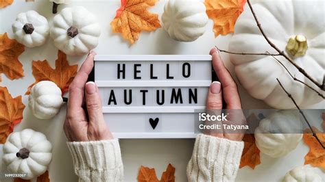 하얀 스웨터를 입은 여자의 손은 Hello Autumn 호박 오렌지 단풍잎 흰색 배경에 나뭇가지 평면도 평지가 새겨져 있다 가을의 시작 가을 분위기 분위기의 개념 가을에