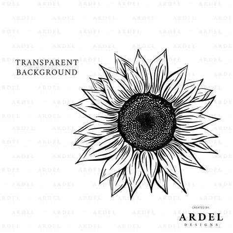 Sunflower Svg Vector File Detailed Sunflower Outline Etsy