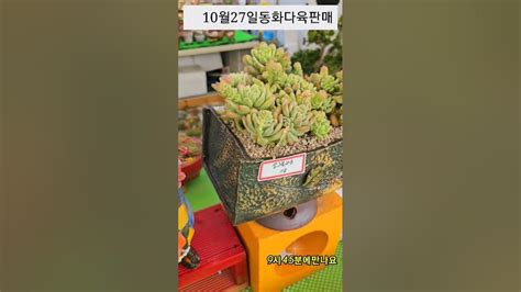 동화다육박서진힘내라인생 Youtube