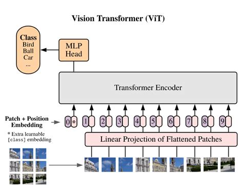 Tensors Must Have Same Number Of Dimensions Got 5 And 3 · Issue 238 · Lucidrainsvit Pytorch