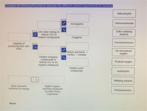 Solved Complete The Following Flowchart To Describe The