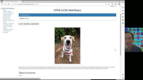 Web Basics Intro Html Tutorial For Beginners Youtube