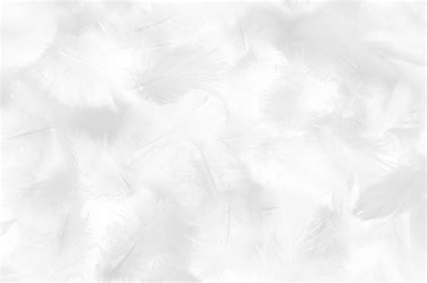 흰색 배경에 아름다운 추상 적색 회색과 흰색 깃털과 흰색 패턴과 밝은 분홍색 배경 발렌타인 데이에 부드러운 핑크 깃털 질감 그래픽 프린트에 대한 스톡 사진 및 기타 이미지