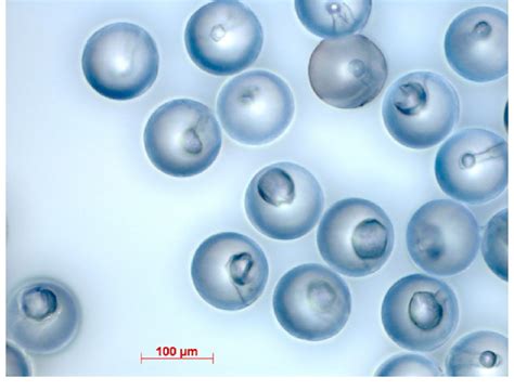 Coreshell Microcapsules Containing Cac Download Scientific Diagram