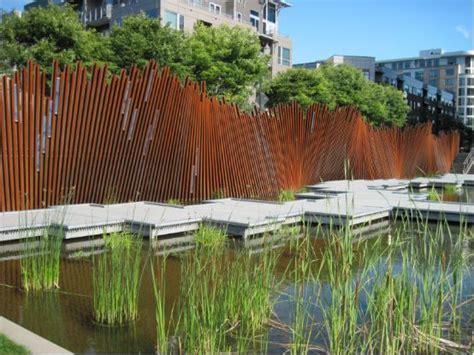 海绵城市系列：5分钟了解什么是雨水花园 搜狐大视野 搜狐新闻