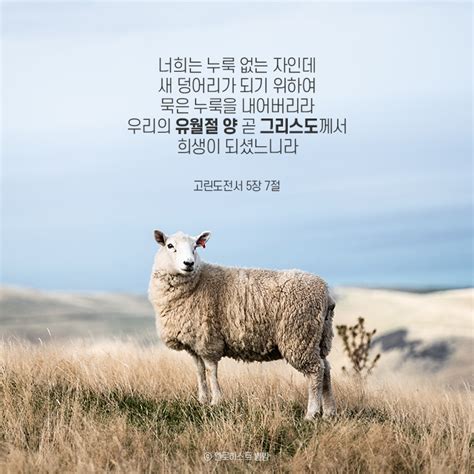 예수님과 사도들이 지킨 새언약 유월절