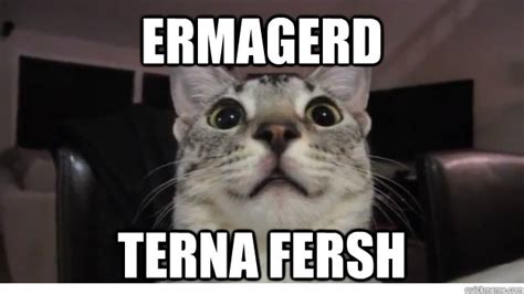 Nylah Kitty Memes Quickmeme