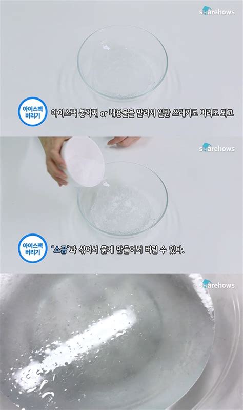 집에서 만들어 활용까지 얼음 팩 완전 정복 한국일보