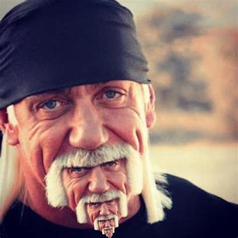 Hulk Hogans Imgur