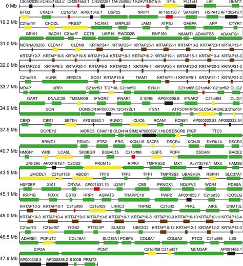 Overview And Evidence Level Of The Putative Protein Coding Genes On Download Scientific Diagram