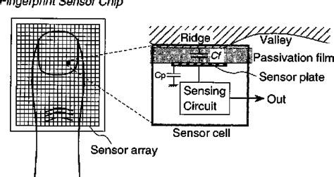 Figure 1 From A Novel Sensor Cell Architecture And Sensing Circuit Scheme For Capacitive