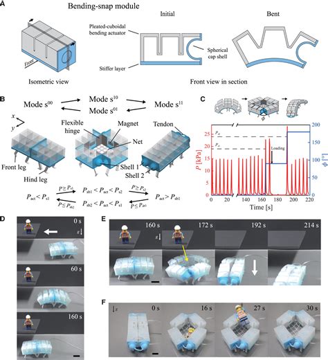 Meet The Shape Shifting Soft Robot That Crawls And Climbs