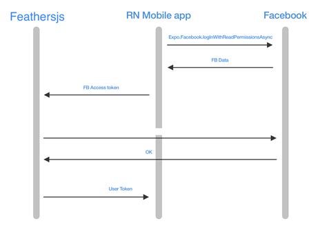 Nodejs User Signup Feathers Authentication With Passport Facebook