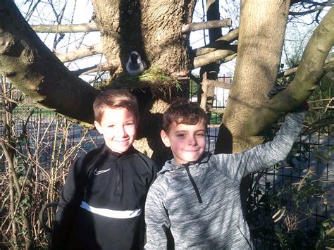 Cardinal Newman Catholic Primary School Ruby Class Forest School