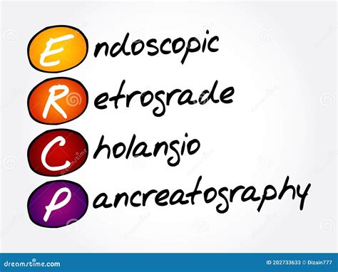 Ercp Endoscopic Retrograde Cholangiopancreatography Acronym Stock Illustration Illustration