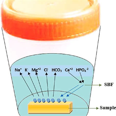 Molecular Structure Of Dextran Download Scientific Diagram