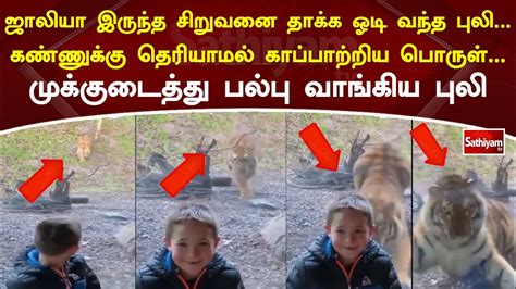 ஜாலியா இருந்த சிறுவனை தாக்க ஓடி வந்த புலி கண்ணுக்கு தெரியாமல் காப்பாற்றிய பொருள் Youtube