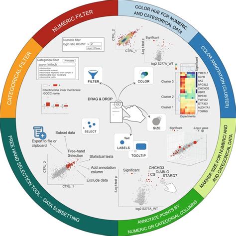 Data Filtering And Extending A Charts Information Content Description