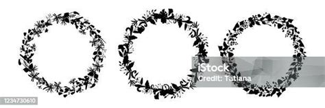 필드 허브와 식물의 화환의 실루엣 세트입니다 흰색 배경에 격리 된 검은 색 벡터 둥근 프레임입니다 약용 꽃 나뭇 가지 잎 0명에 대한 스톡 벡터 아트 및 기타 이미지