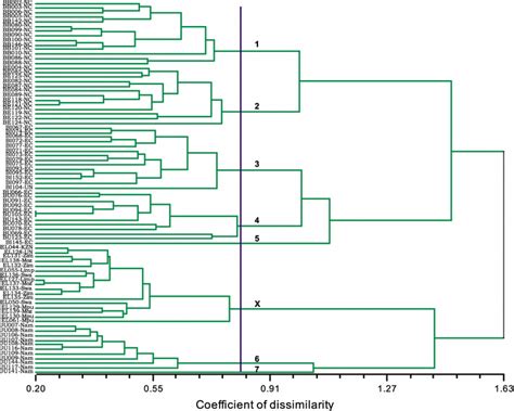 Cluster Analysis Upgma From A Combined Matrix Of Qualitative And Download Scientific