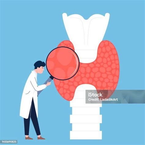 내분비학 검진 돋보기로 의사 검사 갑상선 건강 및 병리학 비교 질병 및 의료 지원 최근 벡터 개념 갑상샘에 대한 스톡 벡터 아트 및 기타 이미지 Istock