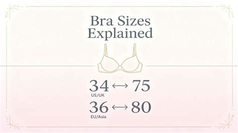 Bra Sizes Explained 34 75 Bra Size Big Or Small？ Veimia