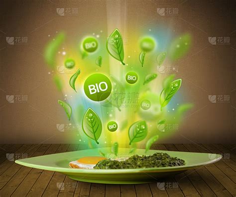健康生物绿色餐盘