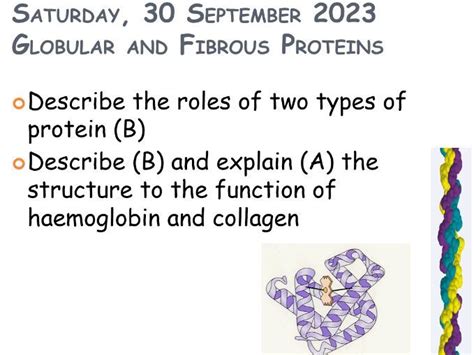 Cie 23 Biological Molecules Globular And Fibrous Proteins Teaching