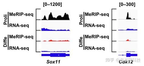 易基因｜m6a Rna甲基化研究的数据挖掘思路：干货系列 知乎