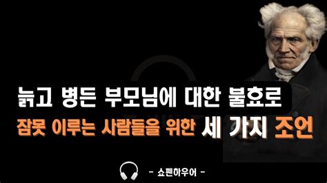 쇼펜하우어 철학의 맞춤형 고민상담 확장현실 적용 도움이 절실한 부모를 모시지못해 괴로운사람들을 위한 철학적조언 철학공부 인생지혜 쇼펜하우어 명언