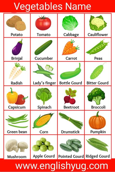 Vegetables Name In English Artofit
