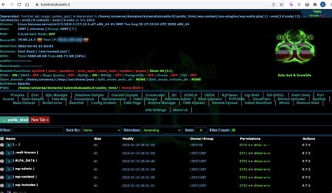 Hackerswork Leftover Web Shells