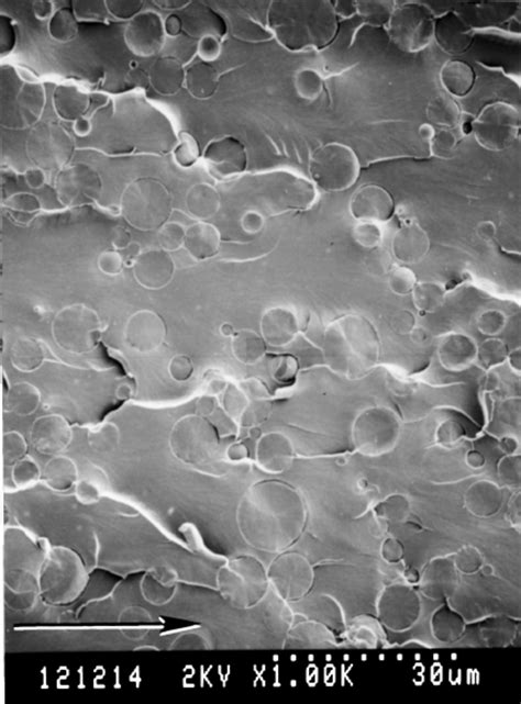 Optical Micrographs Of A Bridging Particle In A Sub Critically Loaded Download Scientific