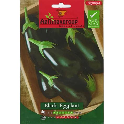 Black Eggplant Seeds Premium Quality For Home And Commercial Cultivation