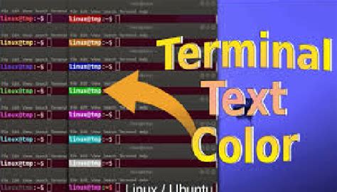 Automatically Close Your Terminal Understanding Tmout And Enhancing