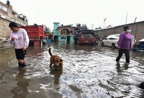 Clima En México Temperatura Y Probabilidad De Lluvia Para Ciudad De