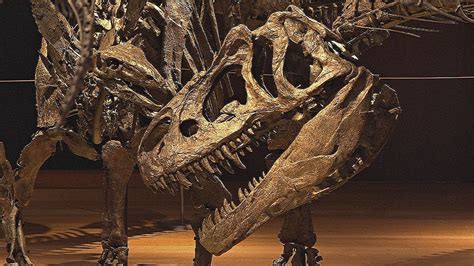 На аукционе в Лондоне продадут скелеты трёх динозавров Youtube