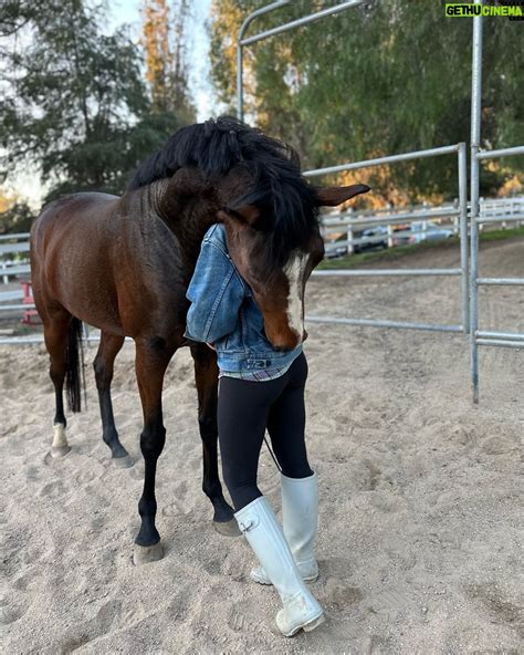 Cassi Thomson Wiki Biography Age Gallery Spouse And More