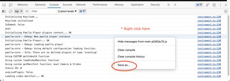 Collect Console And Network Logs Cern Webcast And Recording Service User Docs