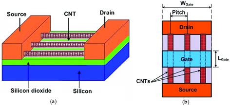 Carbon Nanotube Based Mosfet Amplifier