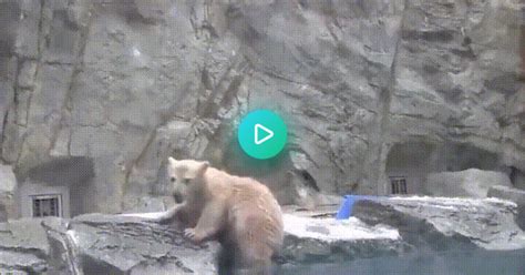 Moms ♥  On Imgur