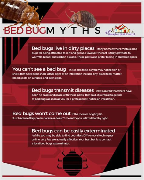 Bed Bug Prevention In Apartment Building At Brodie Bobby Blog