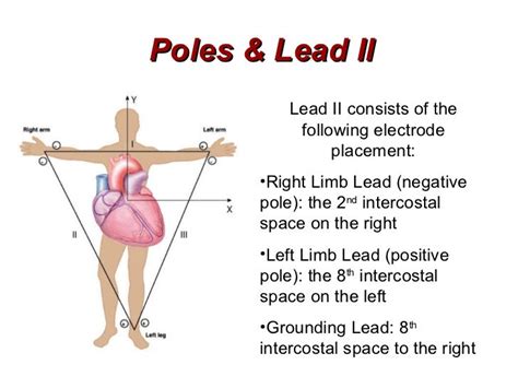 Cardiac Electrophysiology