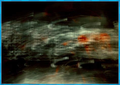 공작의 꿈 공작이 날개를 펴는 꿈